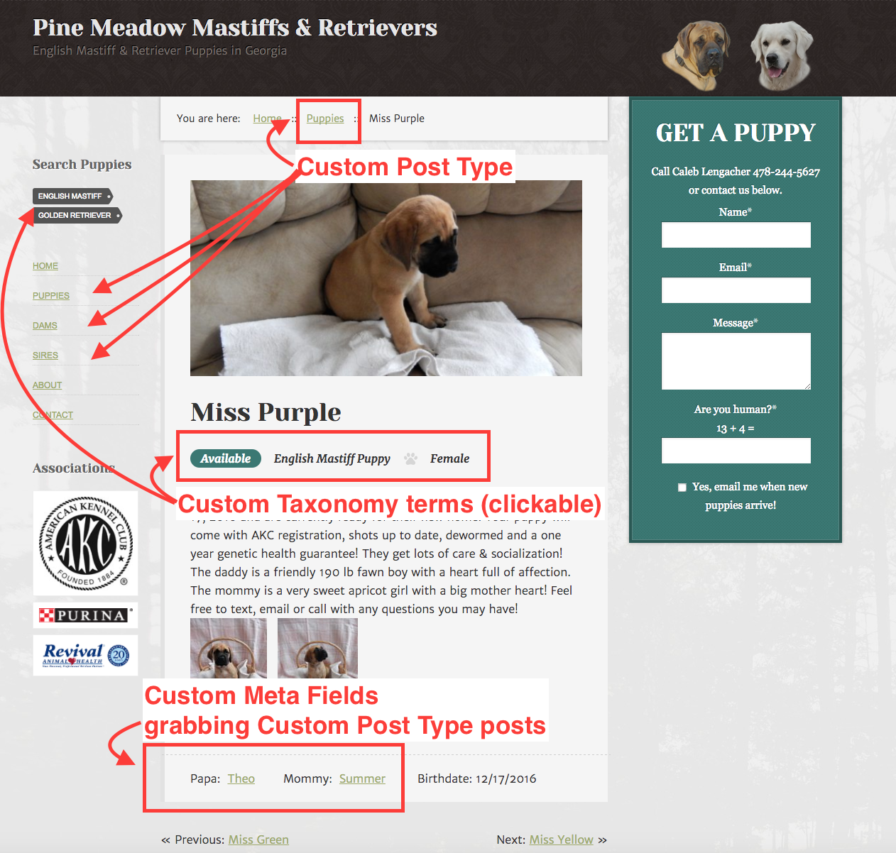 Visual Guide to CPTs, CTs, CMFs frontend